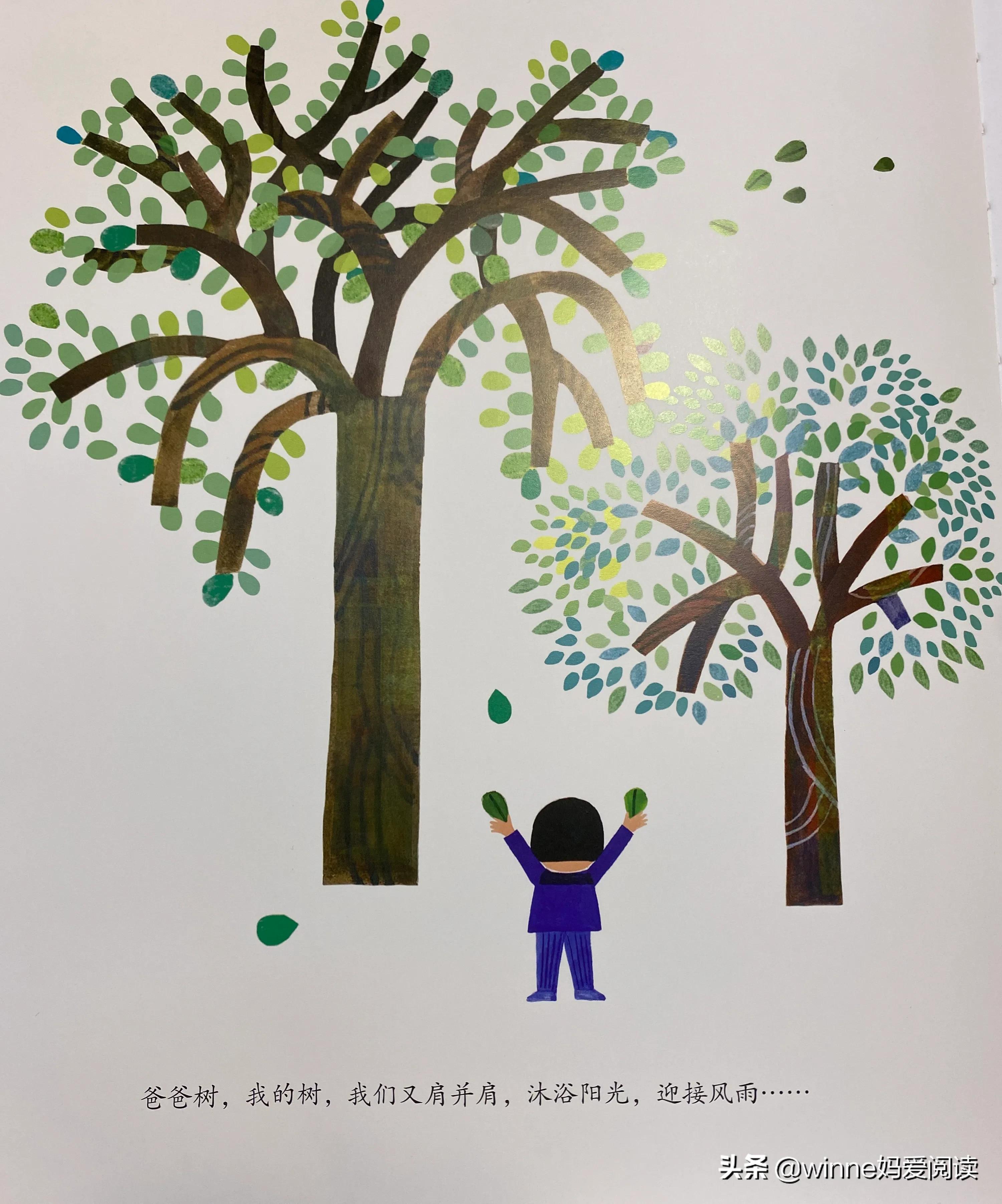 There is a tree called the grandpa tree, there is a tree called the ...