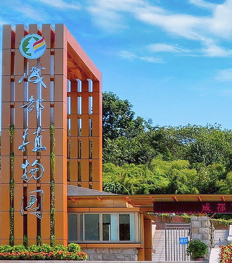 I have seen wisteria, hydrangea, blue jacaranda, yellow flower, wind ...