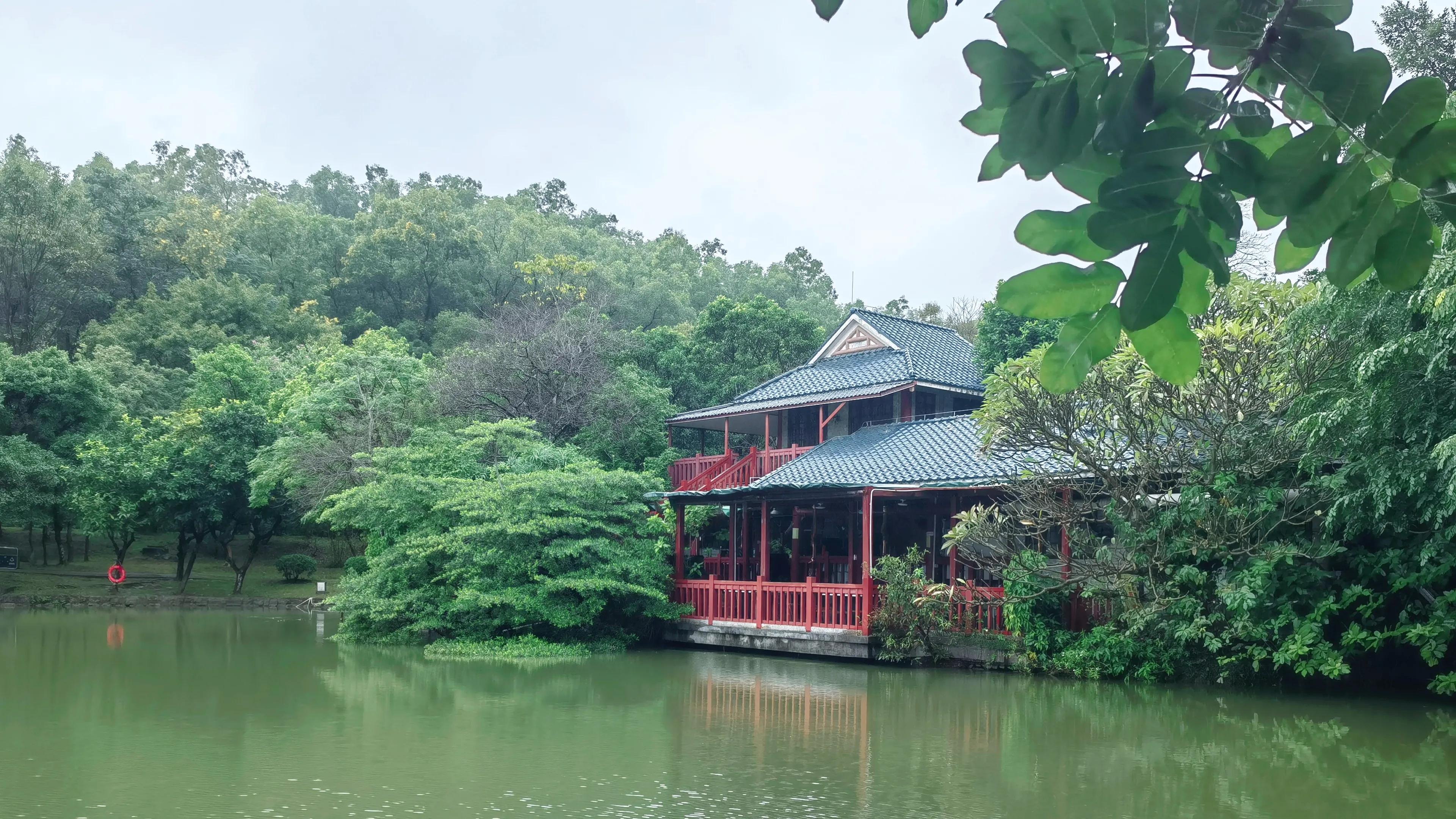 Dafu Mountain Forest Park can also be so quiet and beautiful, taking 40 ...