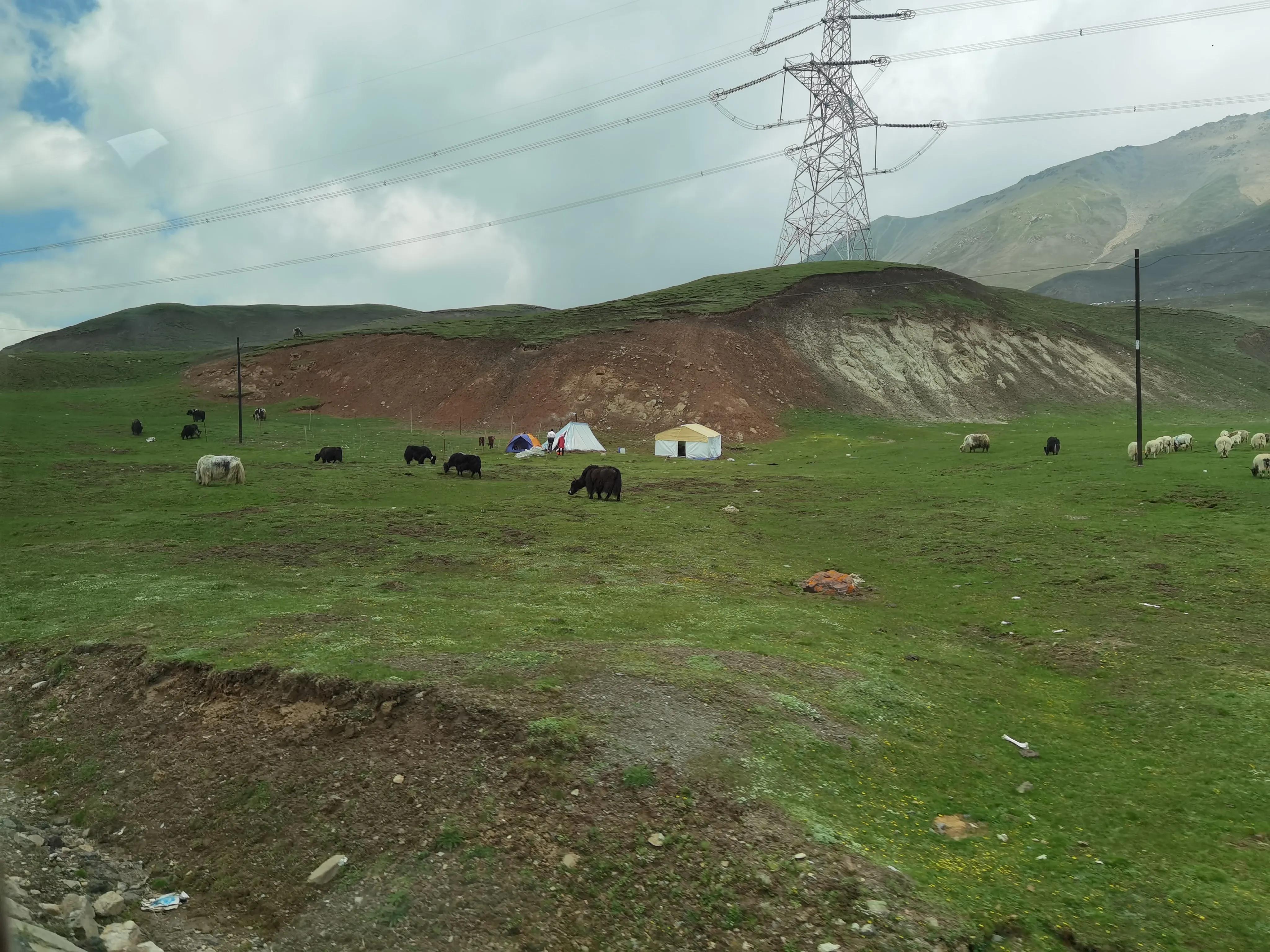 Li Juan's "Winter Pasture" - a witness photo of the last nomadic ...