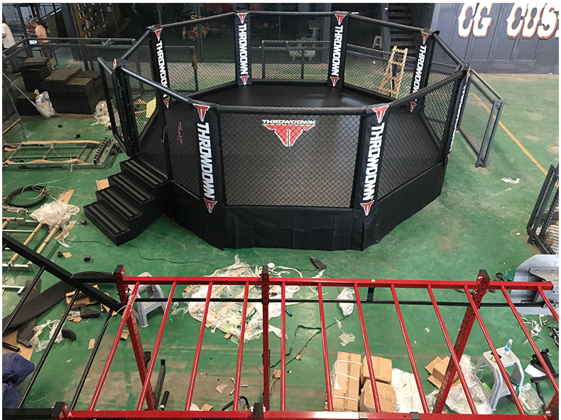 The Sincerity of "Inside the Octagonal Cage", the Brightness Outside ...