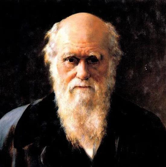 talk about darwin - iNEWS