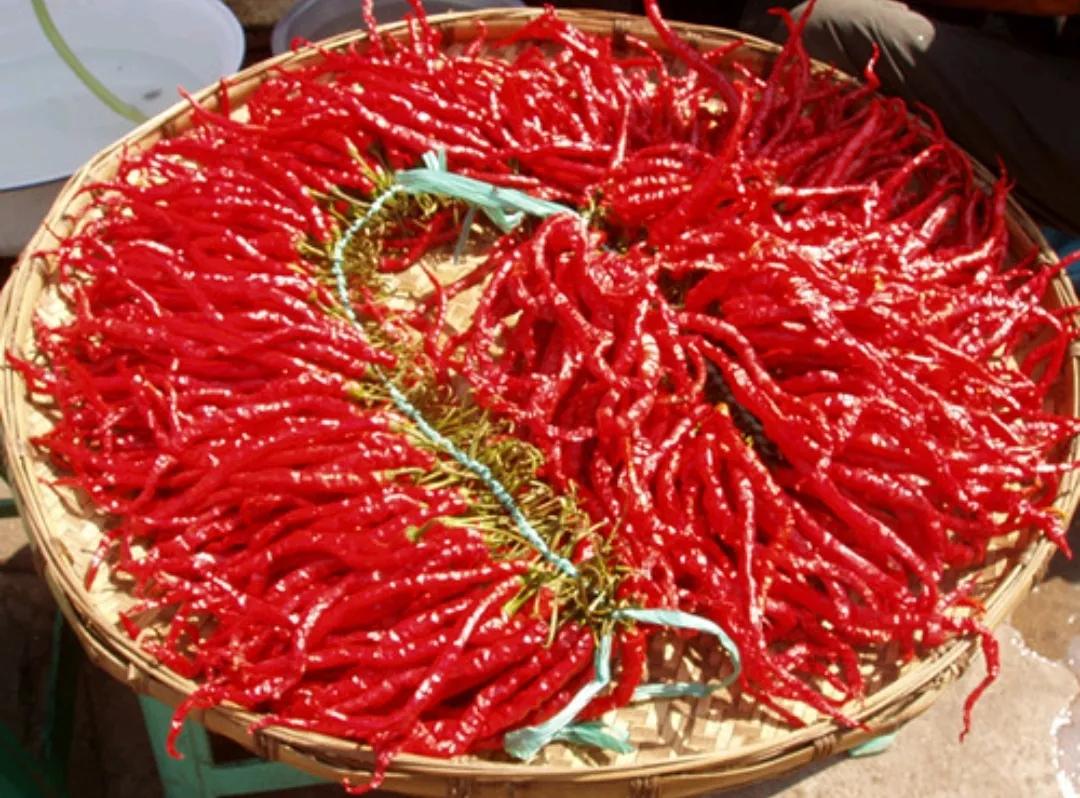After the introduction of chili, who was the first to use it for ...