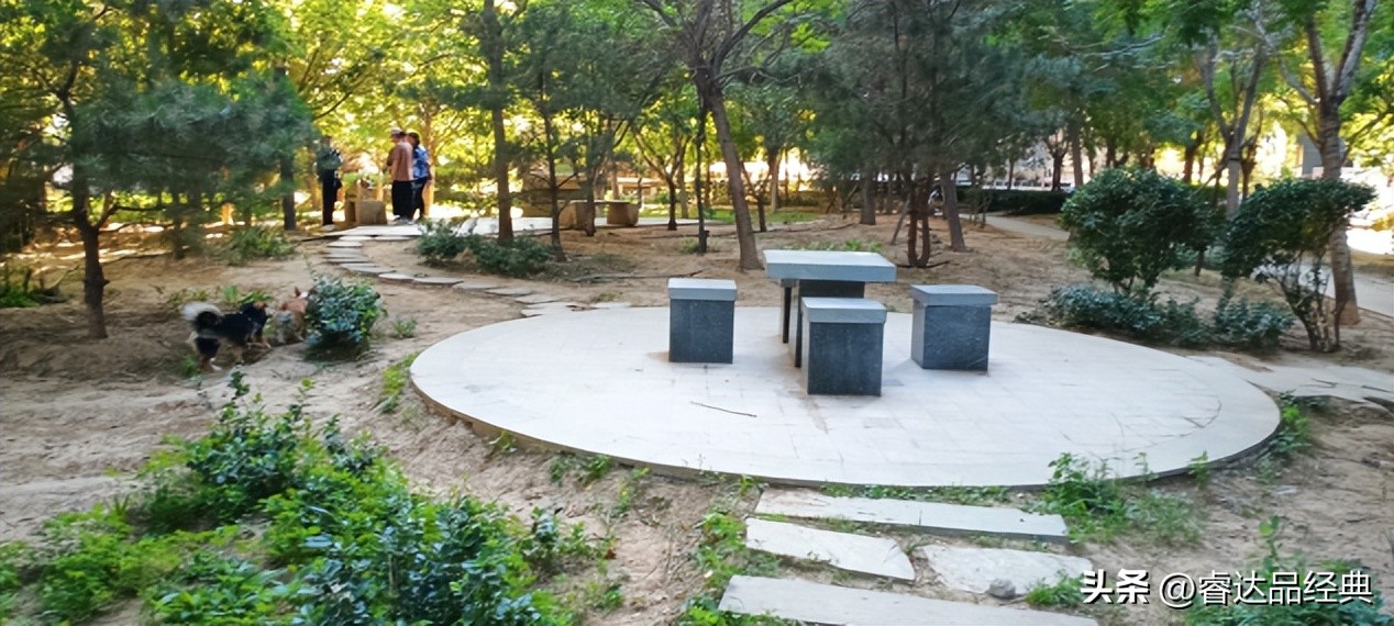 The acid ball is gradually recovering, and it is comfortable to grow up ...