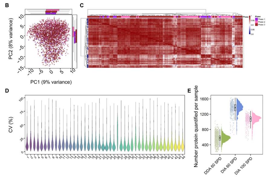 A simple, low-cost, high-throughput protein removal strategy for plasma ...