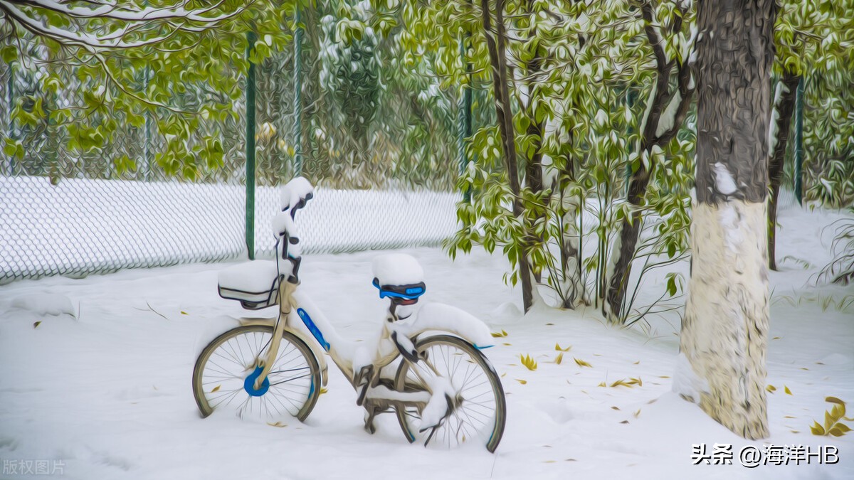 How to take pictures in snowy days, record a snow in Wuhan in 2023 - iMedia