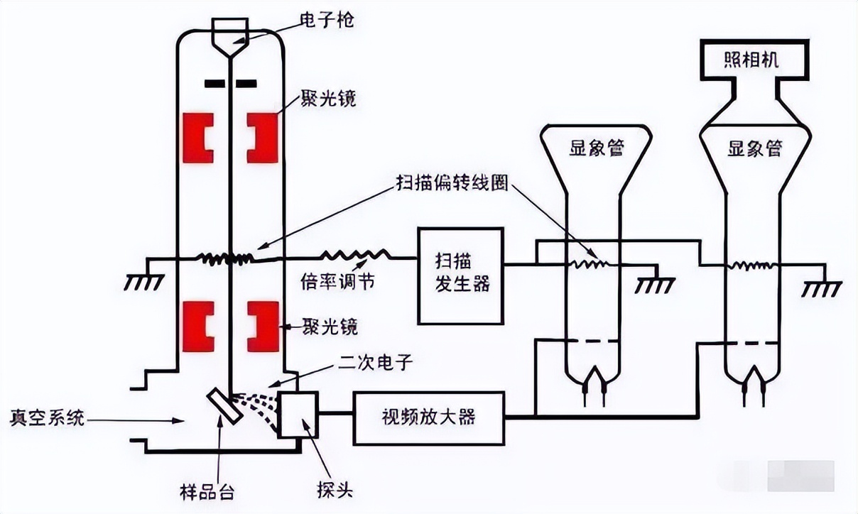 SEM scanning electron microscope testing principle and sample ...