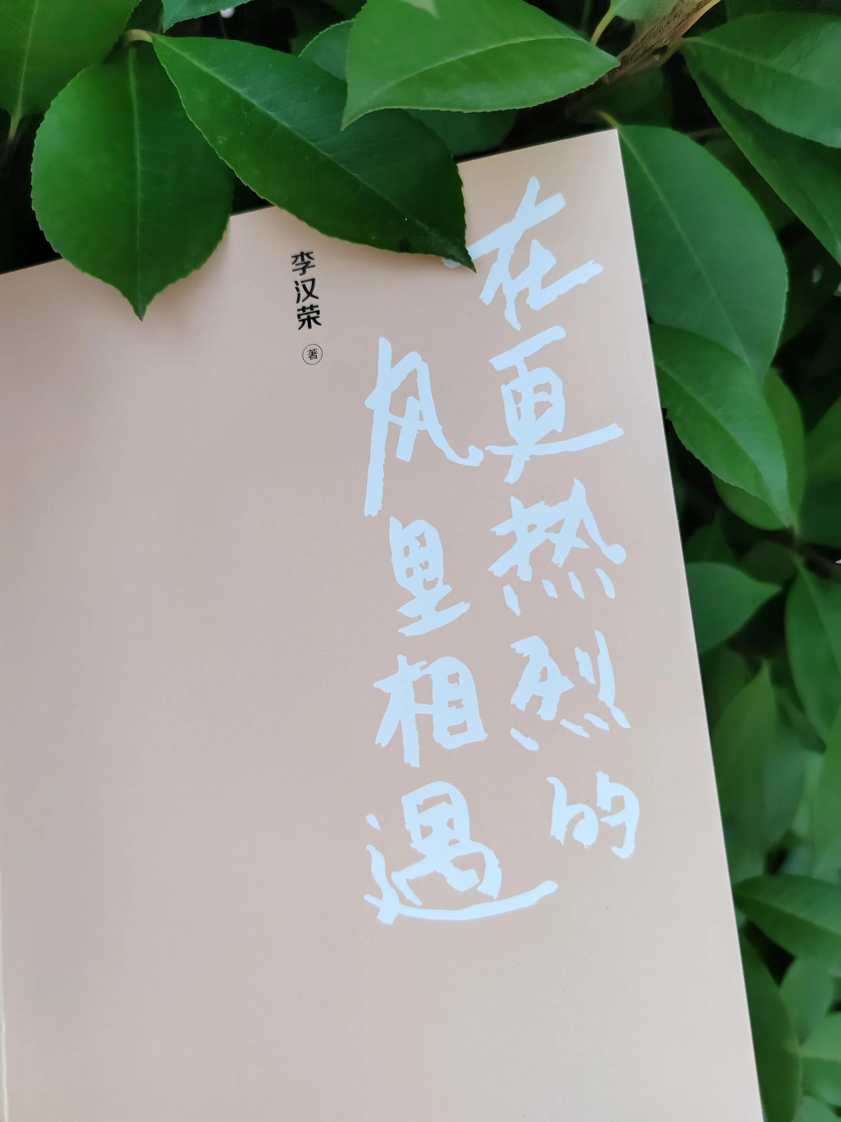 Under the cherry tree, there are no strangers - iNEWS