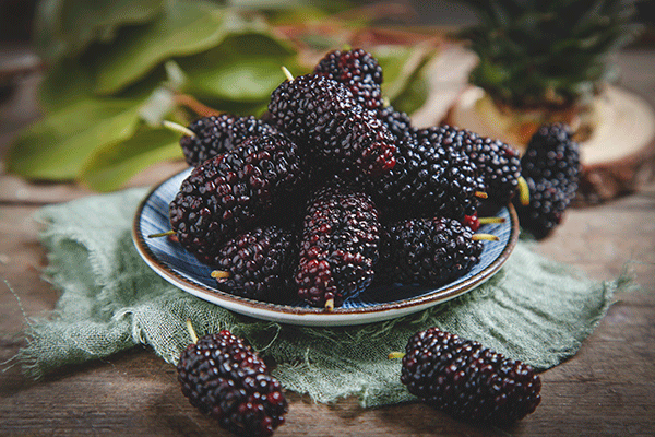 The origin of mulberry puree - iNEWS