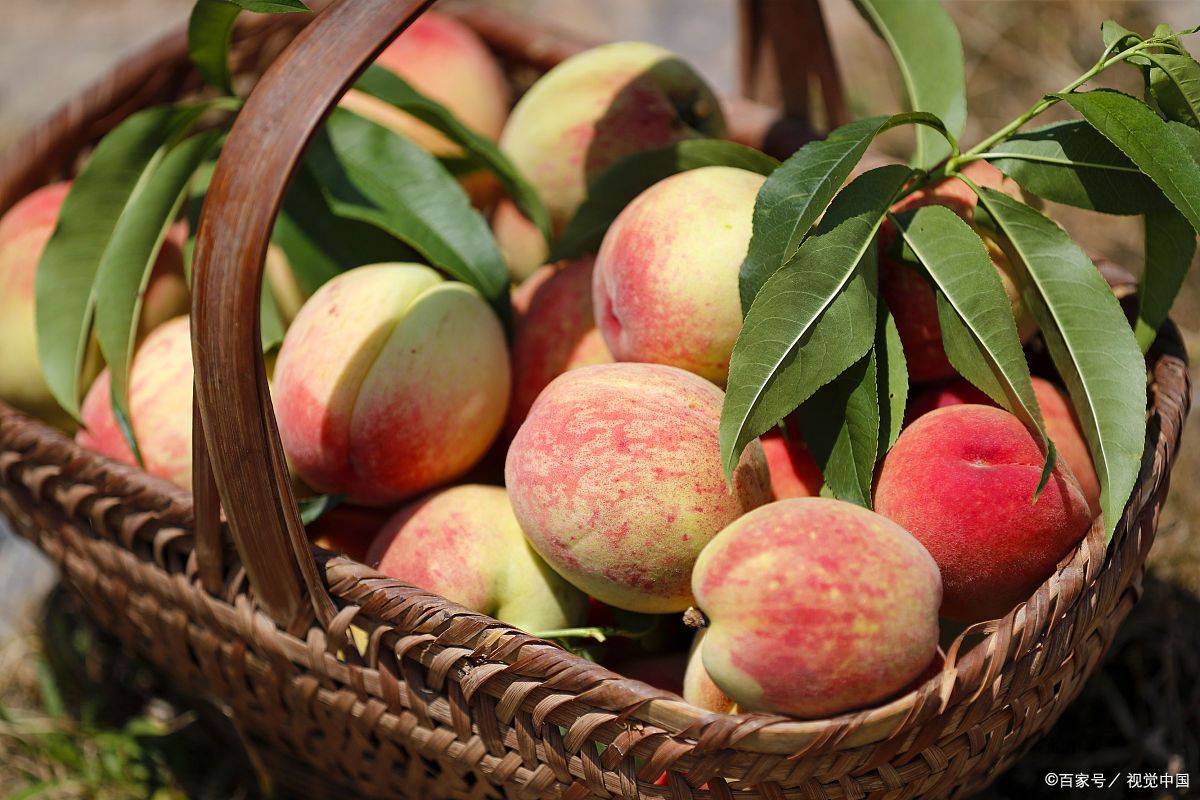 Wuxi's top ten specialty products list, each one is very suitable to ...