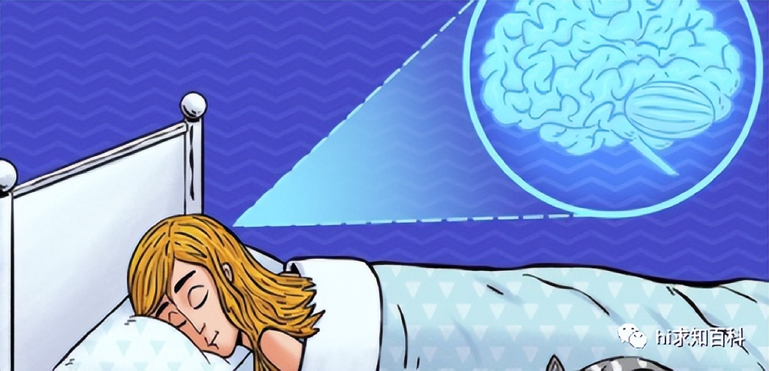 What happens in the brain when you dream? It turns out that the ...