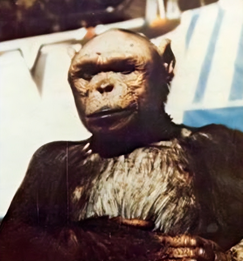 Scientists have discovered a genetically mutated chimpanzee whose ...