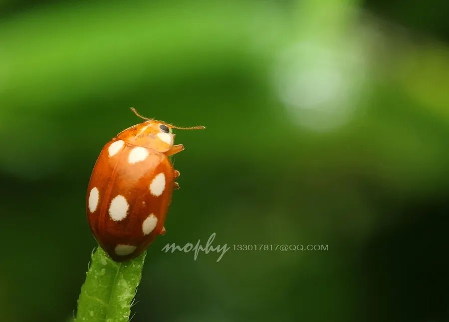 Time is the forgotten sound of water - iNEWS