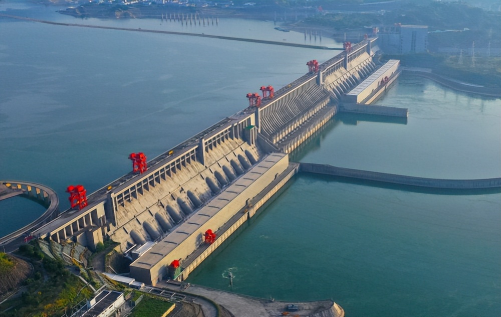 How big is the biggest fish in the Three Gorges Dam that has been ...