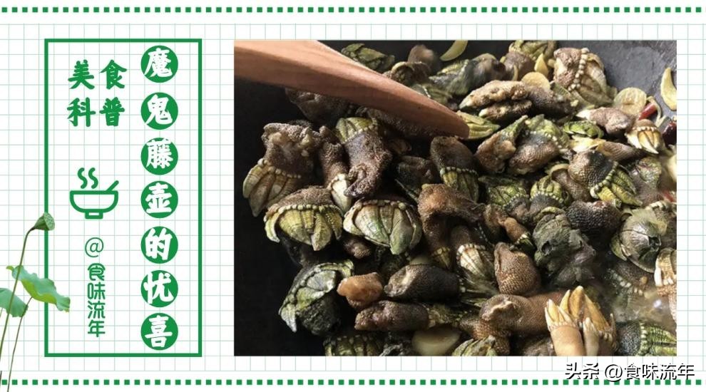 What are barnacles?Keep marine life out of reach and treat it as a ...