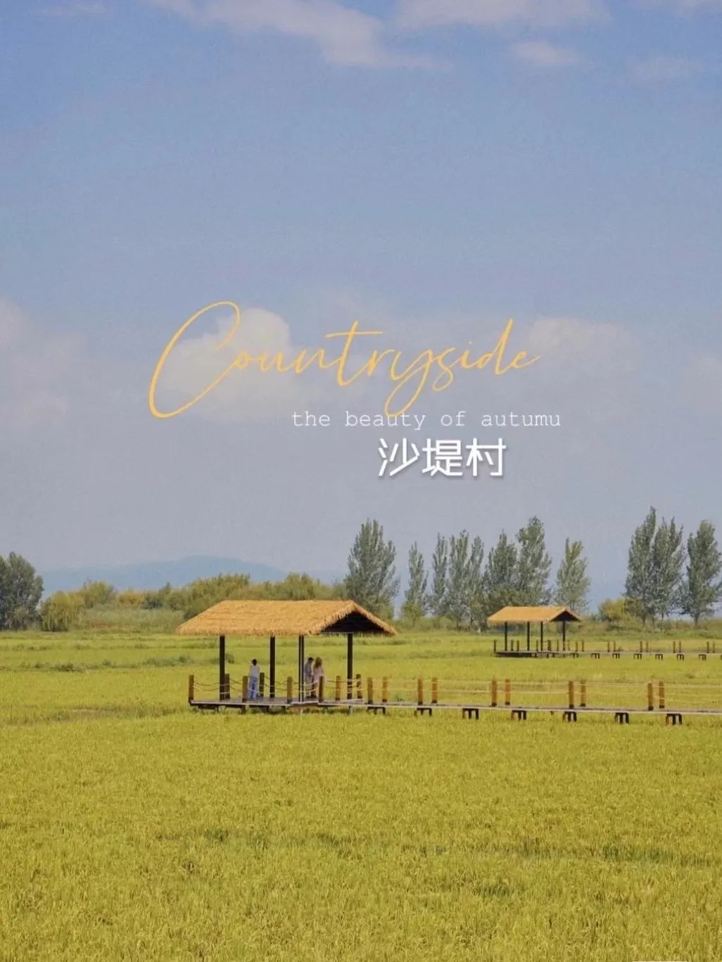 These three beautiful rice fields in Kunming are Hayao Miyazaki's ...