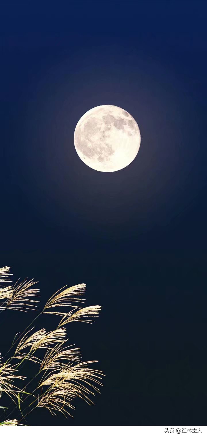 Honglin Wudao "Han Feizi - Jie Lao" Chapter 106 Limb orifices - iNEWS