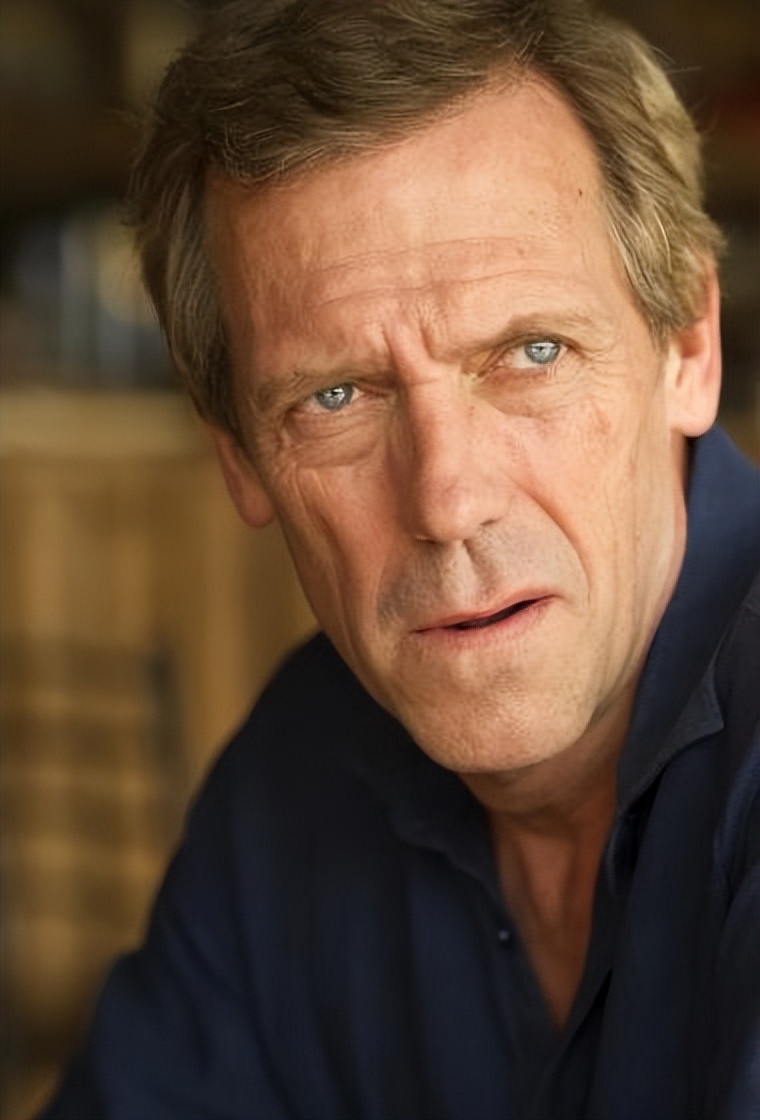 Dr. Gregory House: Hugh Laurie's Outstanding Performance in "Doctor ...