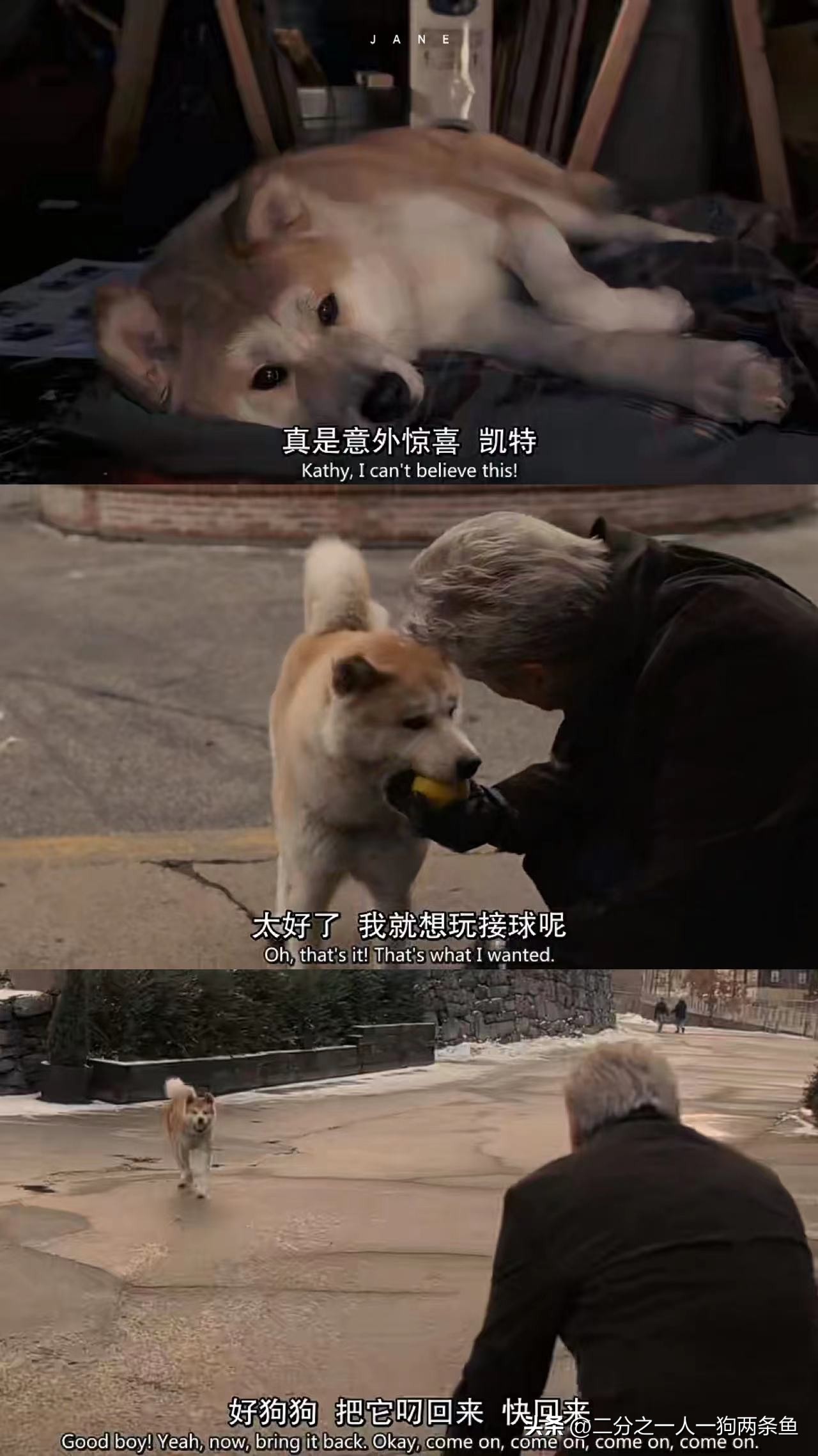 "The Story of Hachiko the Faithful Dog" All things have spirits, we ...