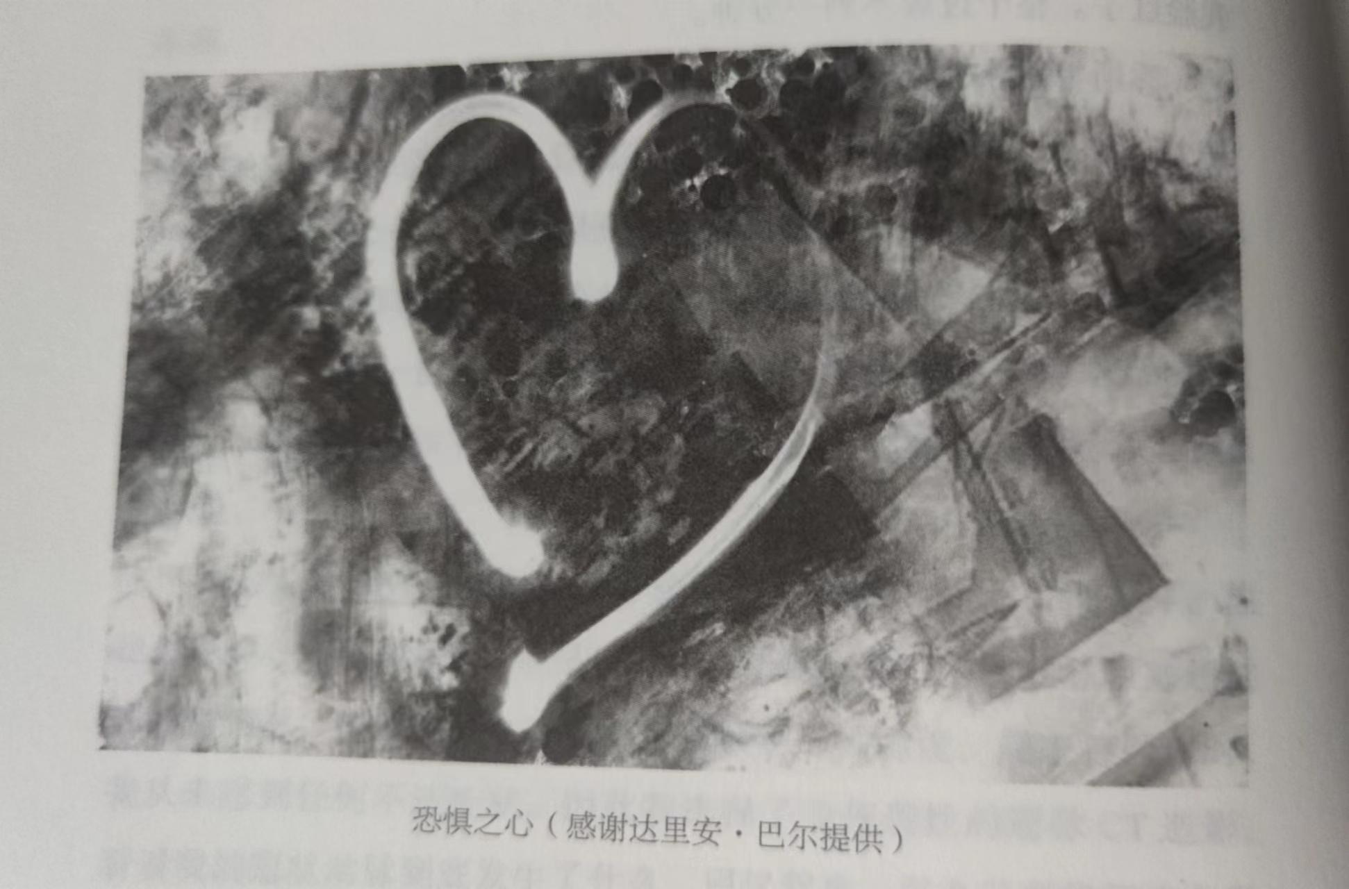 Awe of the heart - the organ that gives us the power of life - iNEWS