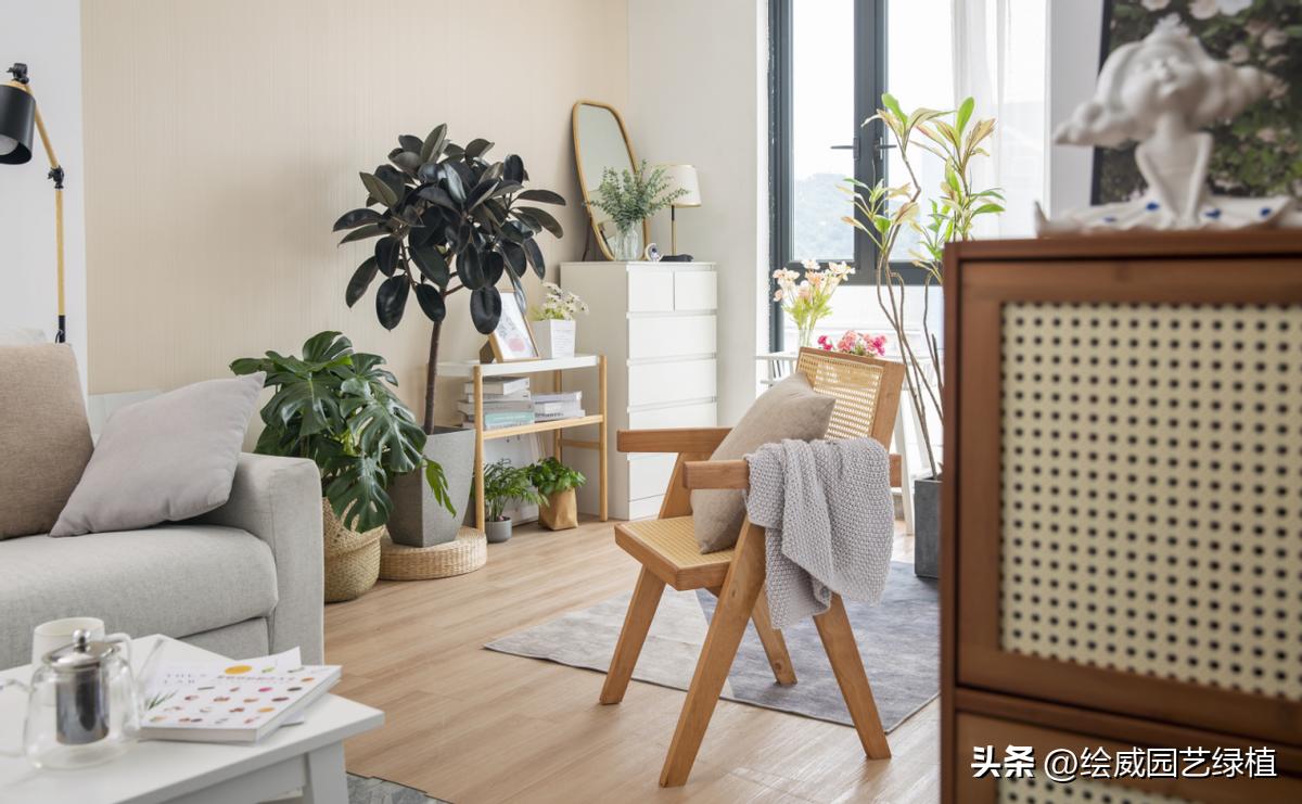 The living room is monotonous and deserted, and you can choose 1 of 4 ...