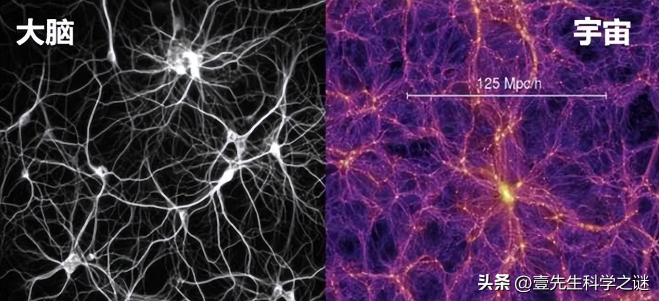 Could the universe be giant creatures? The world is a dream of a giant ...