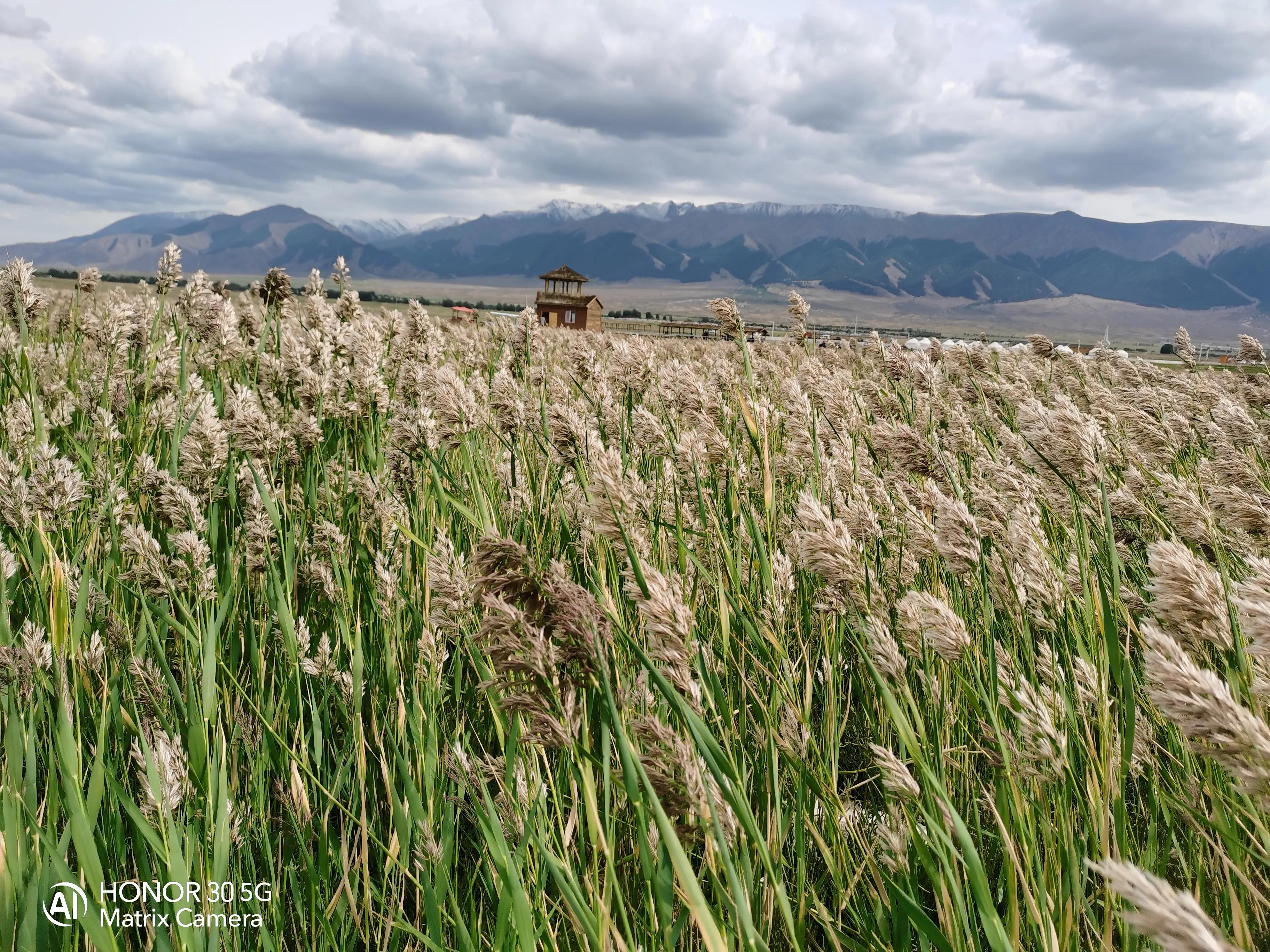 Balikun Lake, a lake that is about to be completely saline - iNEWS