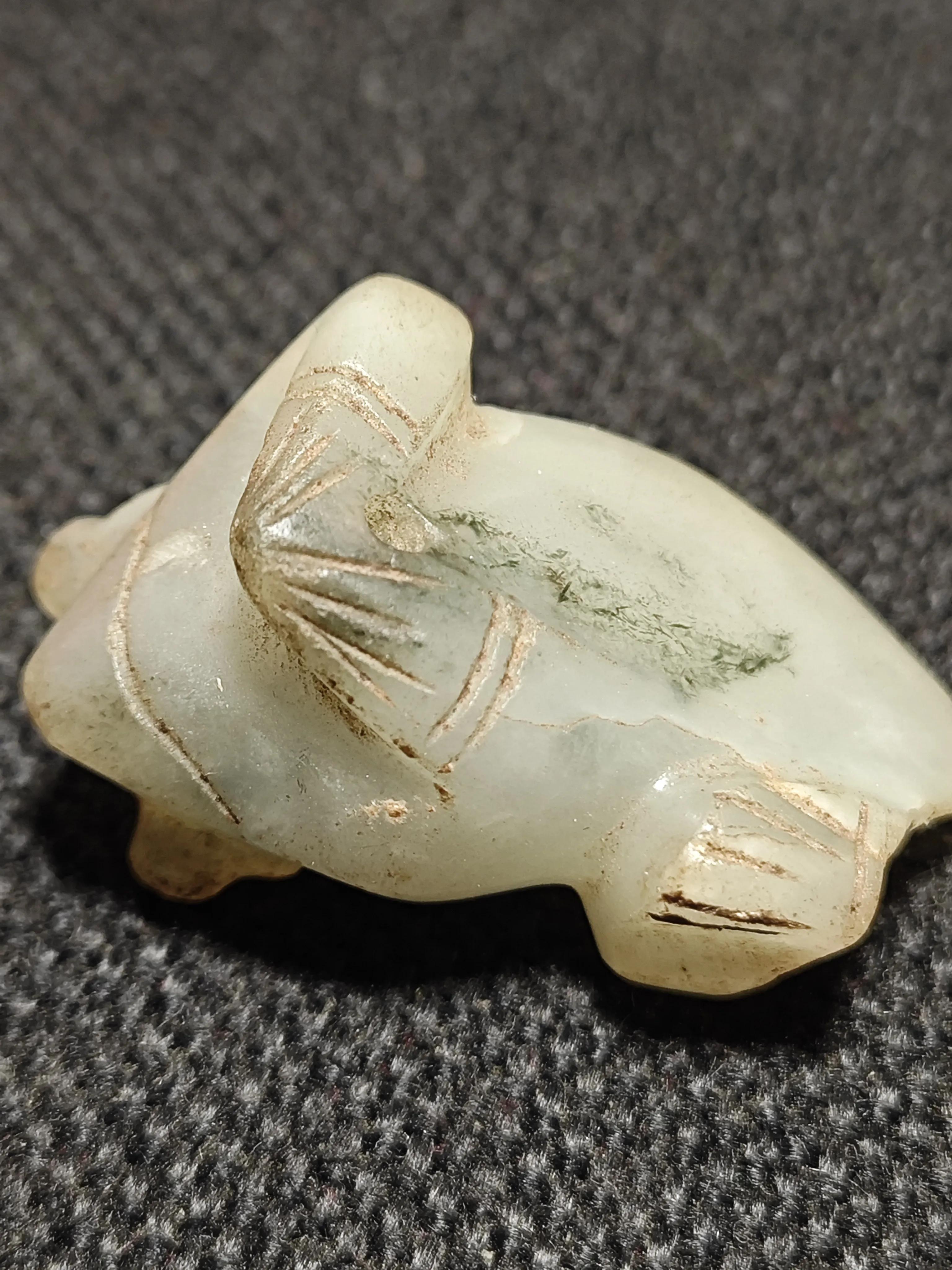 Have you ever seen a three-legged toad? - iNEWS