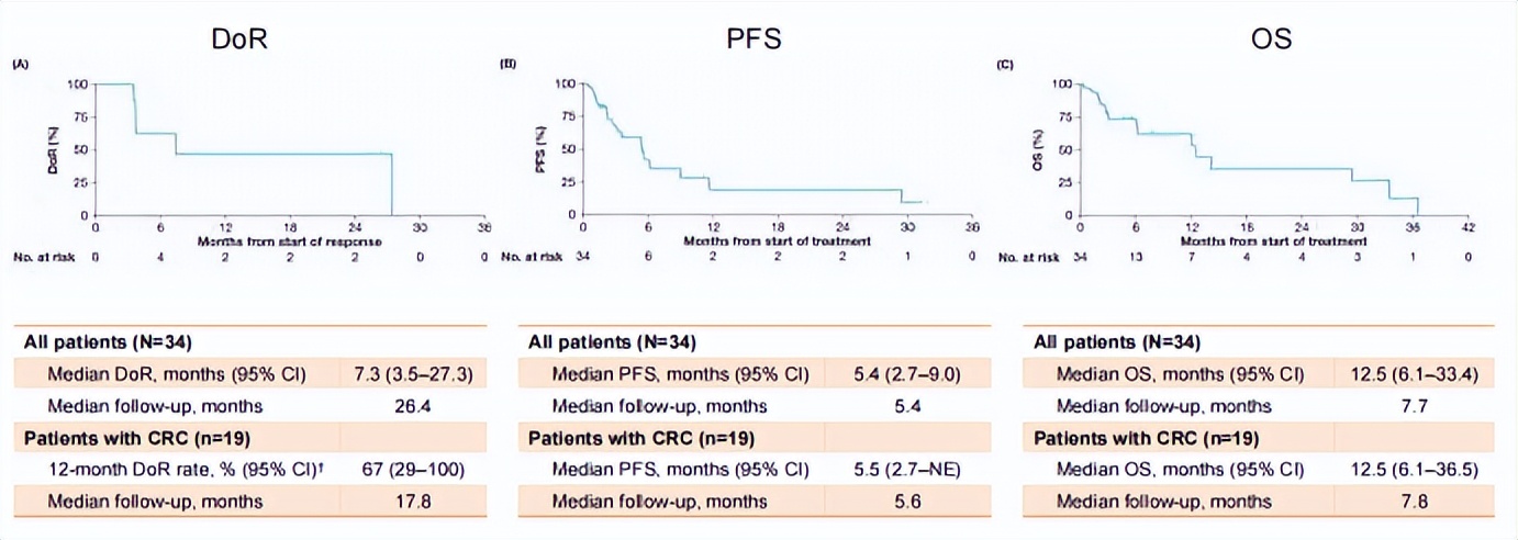 Larotrectinib maintains long-term efficacy in NTRK-fused advanced ...