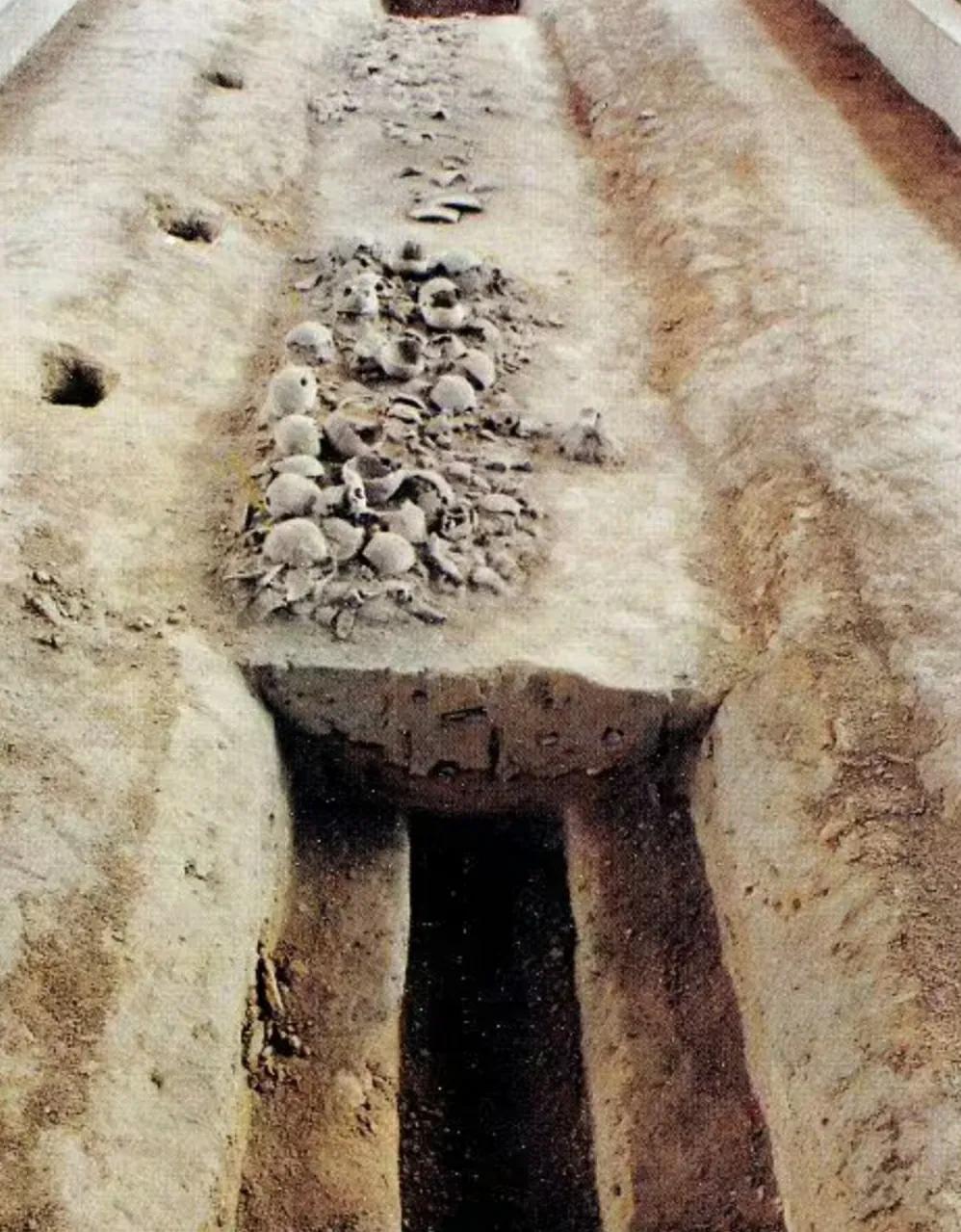 From Shang Tang's destruction of Xia Jianshang to the Ninth Rebellion ...