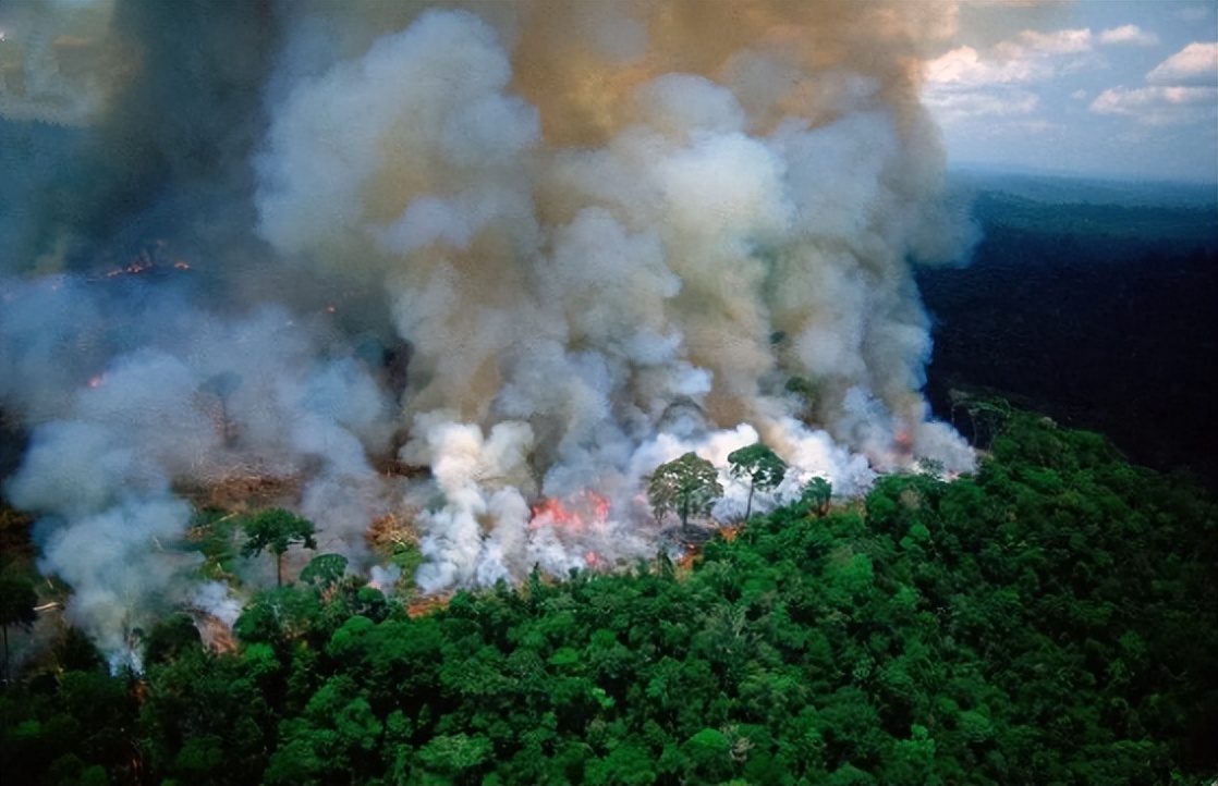 The explosion in the Amazon jungle was only revealed 65 years later. Is ...