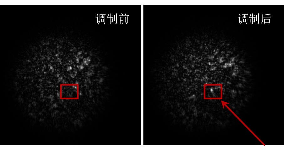Manipulation of light transport pathways within simulated biological ...
