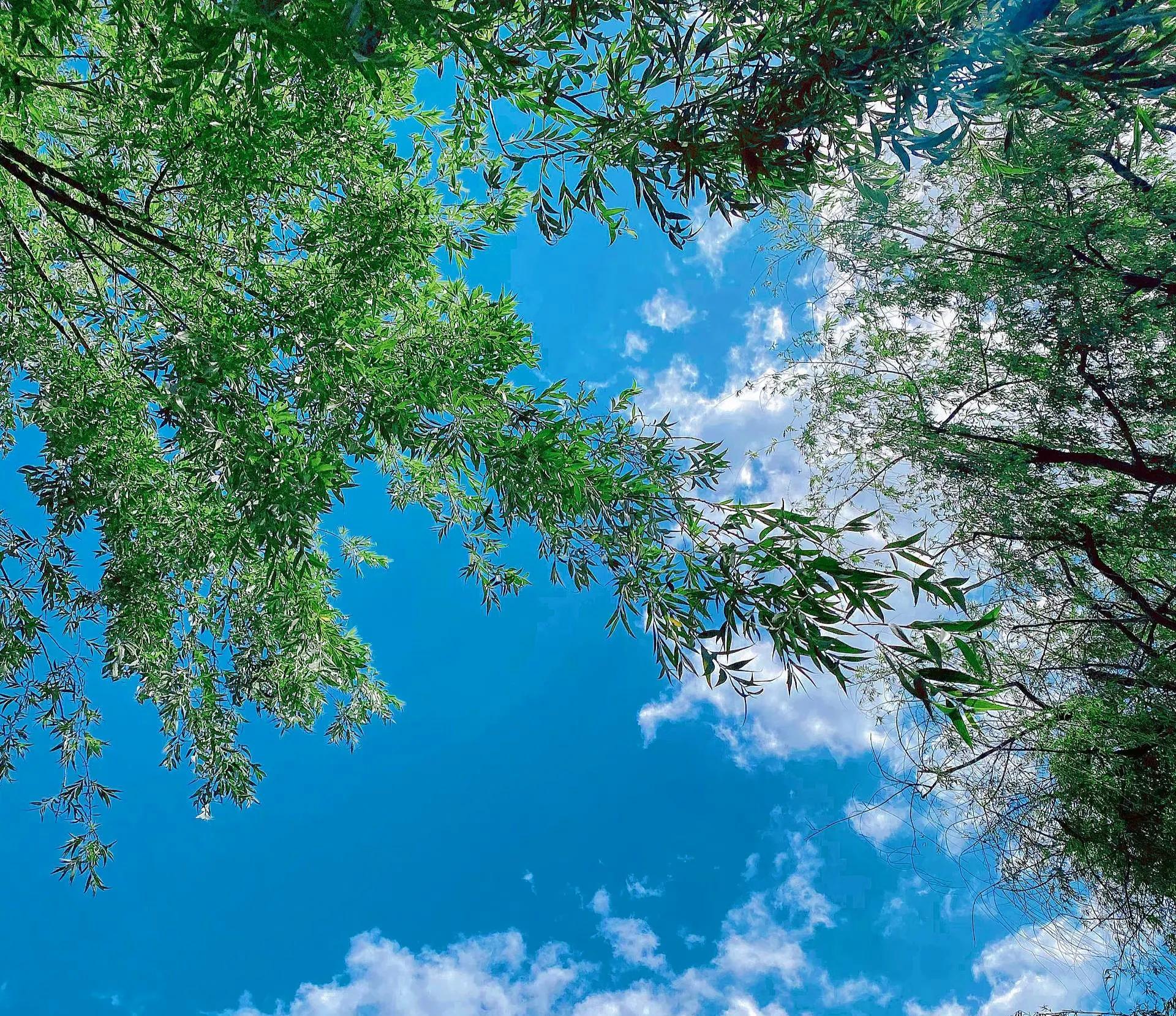 Wang Yangming: Filial piety comes first, fathers are kind and sons are ...