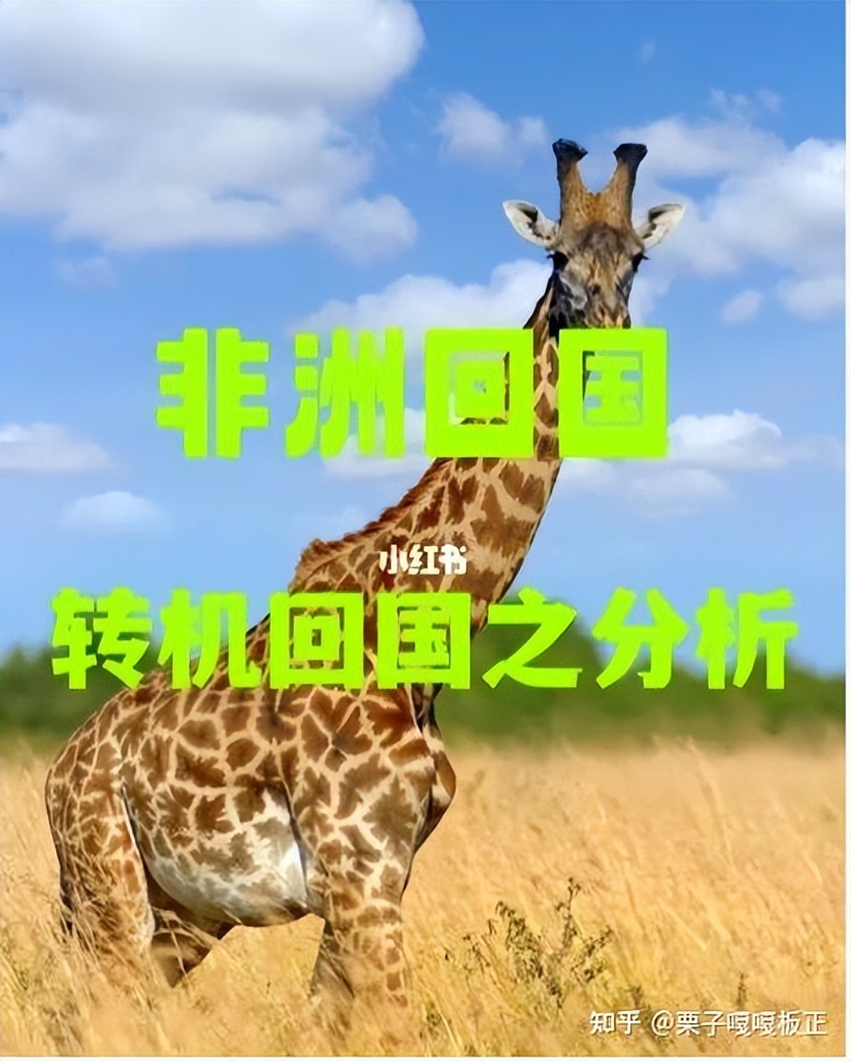 An Analysis of the Transfer Routes of African Returning Countries ...