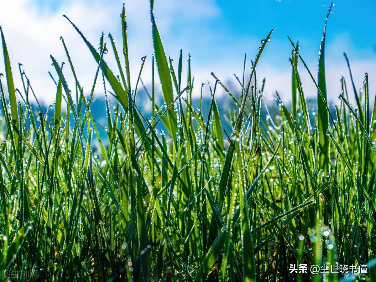 Although Wang Bo's life was unfortunate, he still loved life and wrote ...