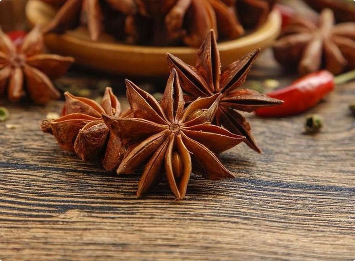 The Food Culture of Ancient India: The Rich Diversity of Spices ...