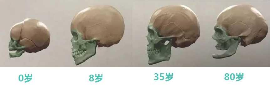 What is the high cranial top and the head covering the face? - iNEWS