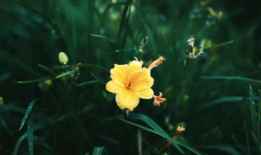 Wang Yangming: Unity of knowledge and action, cultivate a bright heart ...