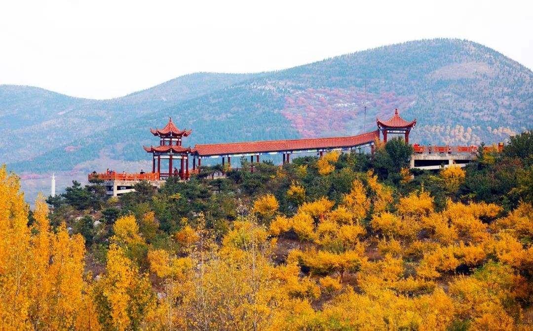 Huaibei Xiaozhong Forest Park is surrounded by mountains and rivers ...