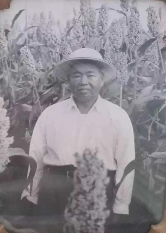 Xu Shiyou's Farewell Ceremony: The wreath of the commander of the ...