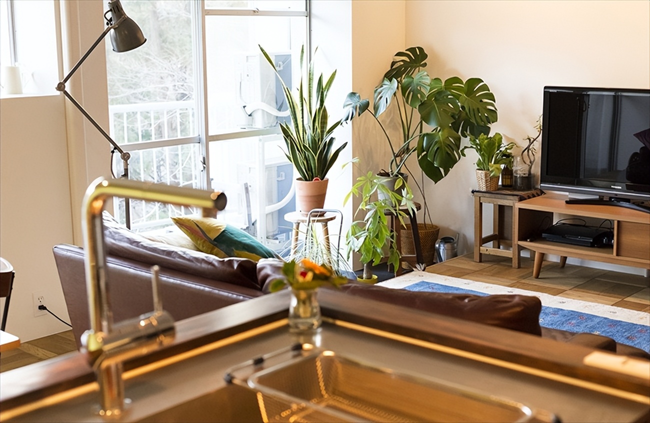 Musashi City, Dink House Connected by Glass Doors - iNEWS