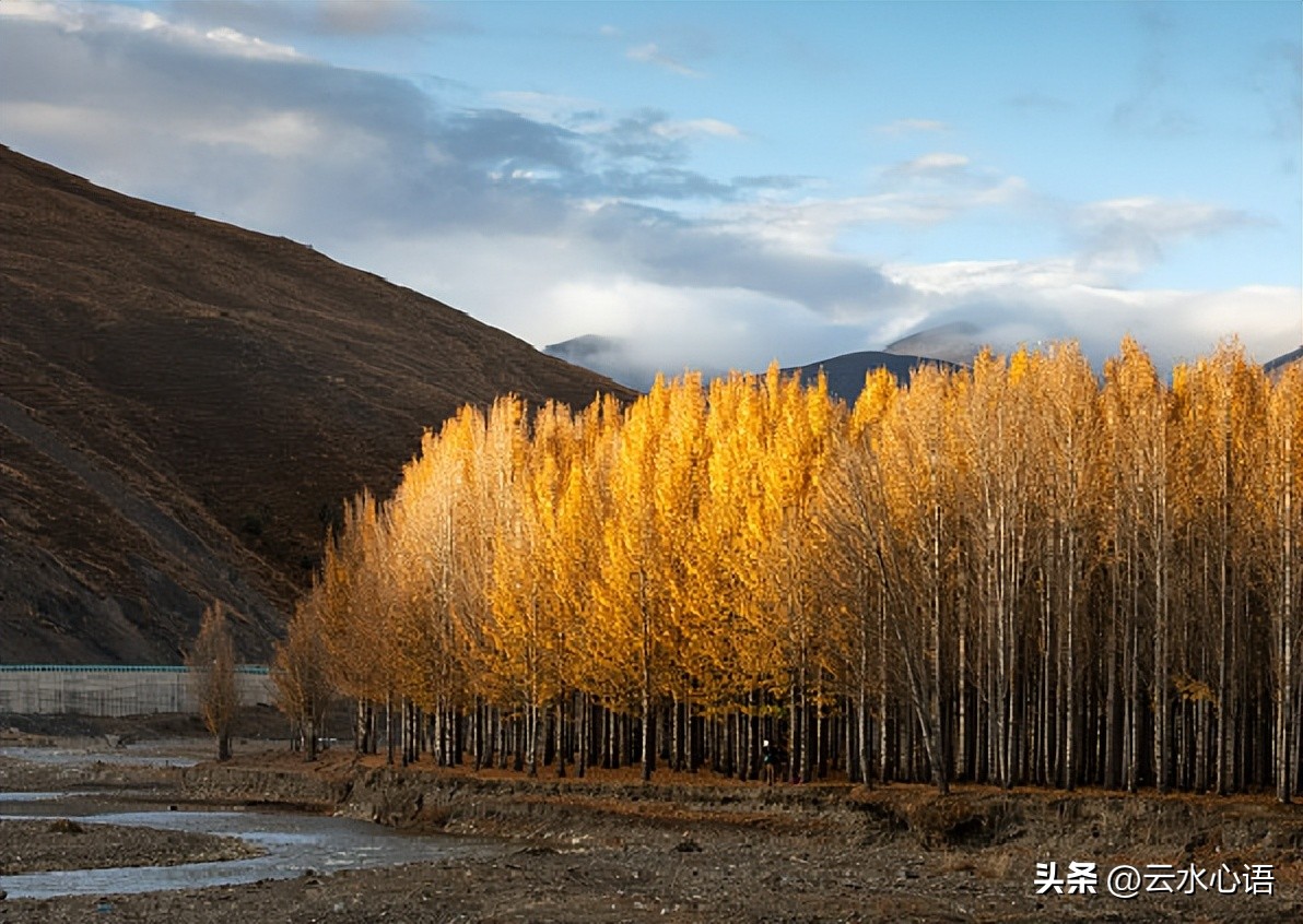 A gifted scholar lived in seclusion in the mountains, and wrote a poem ...