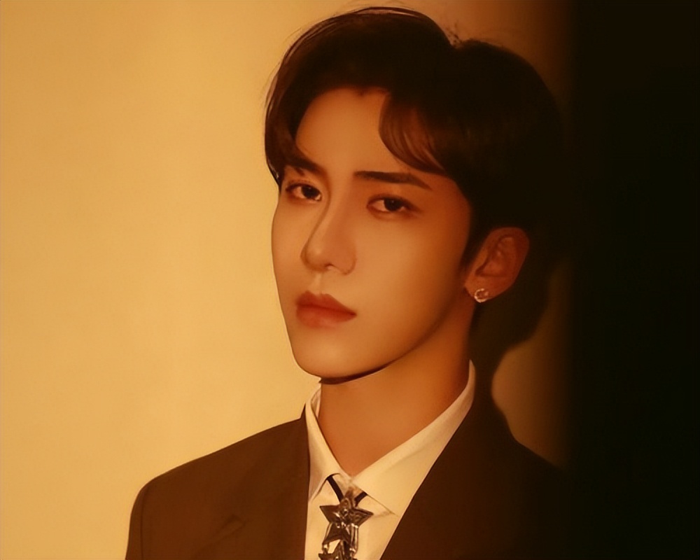 Ding Zeren will attend the Lehua concert, did he save Du Hua's life ...