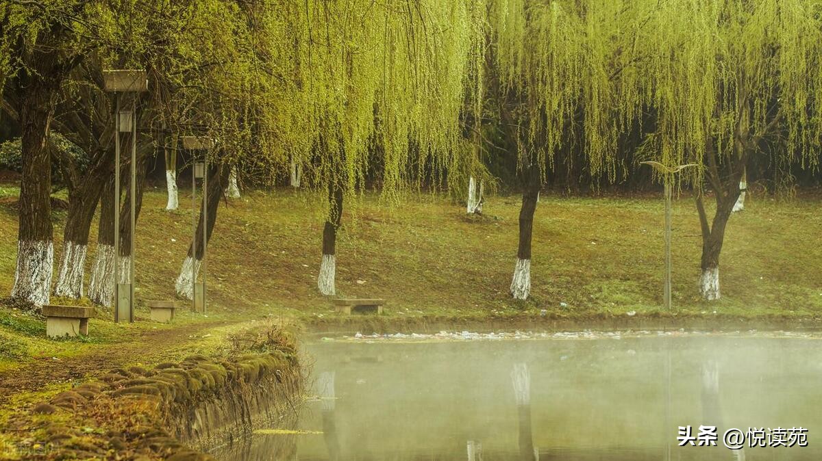 Liu Shaohong: catkins fly - iNEWS
