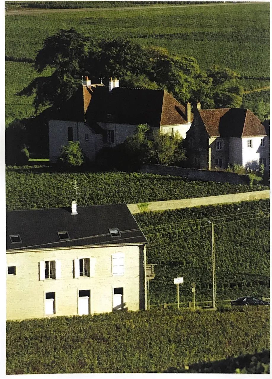 Famous independent winery Domaine Georges Roumier - iMedia