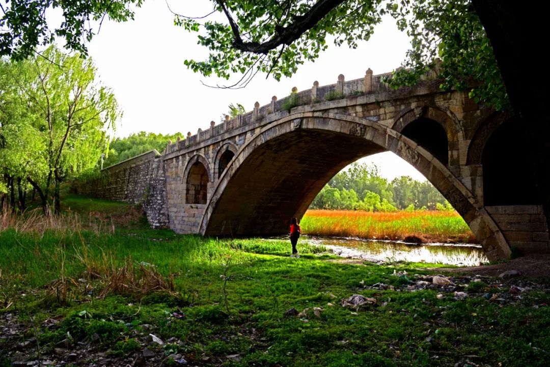 [Yuanping Story] The protection and utilization of Yuanping cultural ...