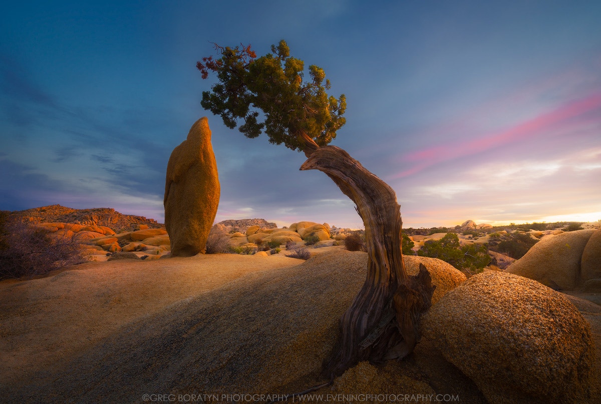 In landscape photography, what is the most important thing to ignore ...