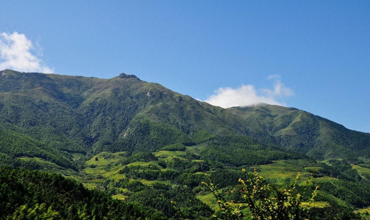 Father Yang Shoumo recalled: During the Anti-Japanese War, the ...