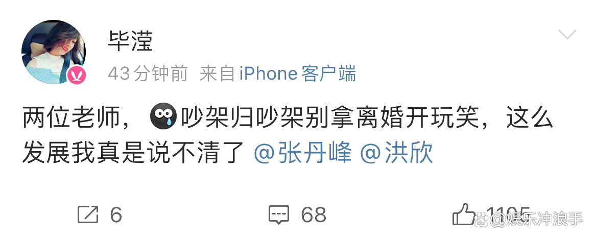 Hong Xin posted a blog late at night announcing her divorce, and Zhang Danfeng molested netizens ...