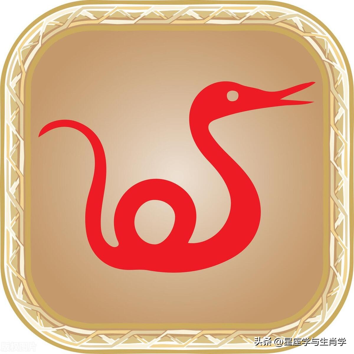 Zodiac Science: In which jobs will Snakes be successful? Let's take a ...